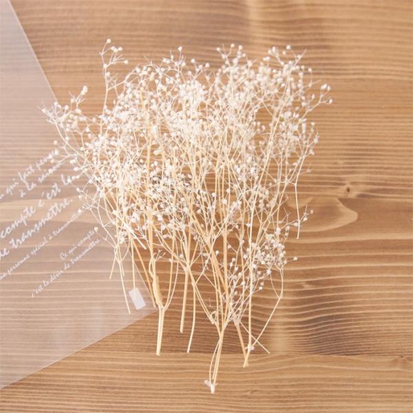 定番カラーの人気かすみ草と言えば、白のかすみ草！ハーバリウム花材としてはもちろん、花器やリースのアレンジにもおすすめ。使い切りサイズの小分けにてお届けいたします。サイズ：・1パック（約3〜4g前後）※材料の量は写真よりも前後する場合がござい...