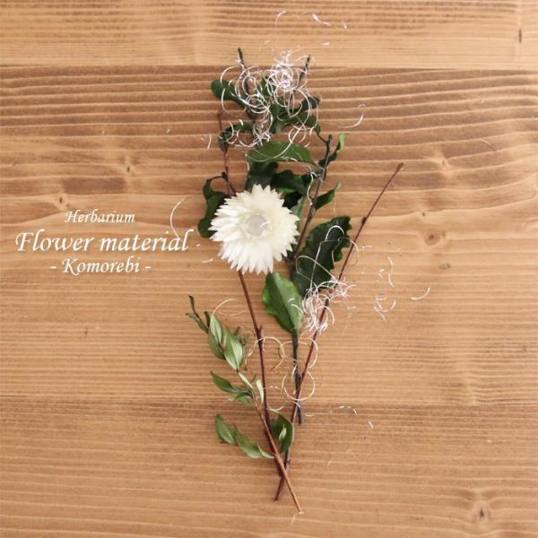 『木漏れ日』をイメージした、ハーバリウム花材キットです。グリーンや枝、シルバーデージー白の花材を使用し、さらに、キラキラと太陽の光を感じさせるラメッタカーリーも少量加えた花材セットです。★本花材キットは、空気感を大切にしています。花材量が少...