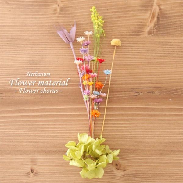 おとぎ国の『お花の大合唱』をイメージした花材キットです。お花たちが楽しく歌う様子をハーバリウムで表現してみました♪カラフルなスターフラワーや種類の異なる花材を入れて、楽しい賑やかな雰囲気を演出しています。本商品は、花材のみとなります。サイズ...