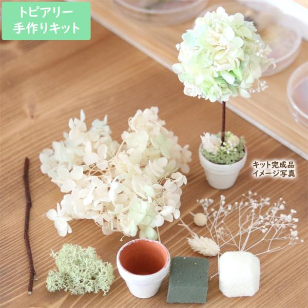 グリーン系の可愛いミニトピアリーが作れるキット♪プリザーブドフラワーのアジサイを使用して作ります。アジサイの色は、ミントグリーン、メロングリーン、ホワイトのグラデーショングリーン系です。パステルカラーの手頃なサイズ感で、置き場所に困りません...