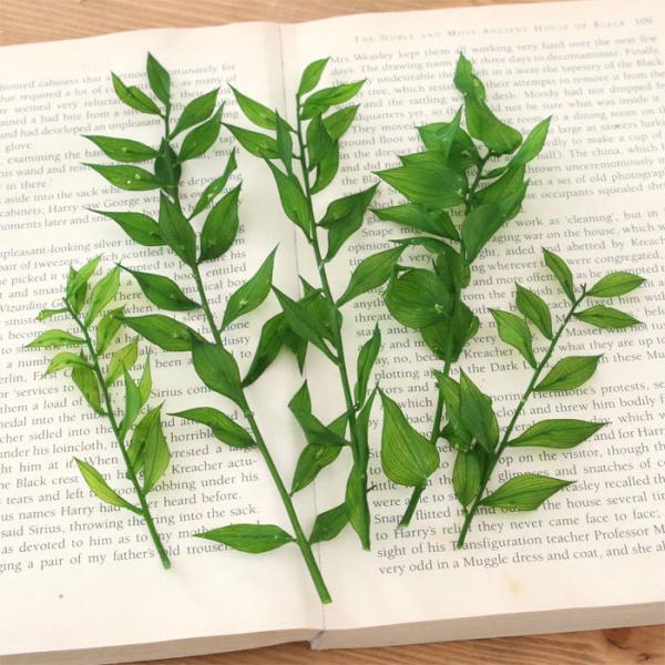 定番色でどんなデザインにも合いやすい、フレッシュグリーンラスカス5本です。ハーバリウム、各種フラワーアレンジメント、リースなどの花材にどうぞ5本入りですが、1本1本茎が分かれている場合もあれば、1本の太い茎から複数に分かれている場合もござい...