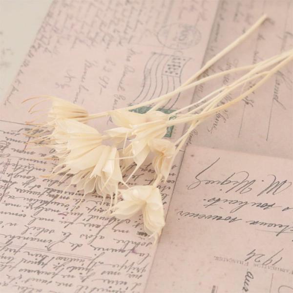 ホワイト色のニゲラオリエンタリス6本入りです。製造ロットによっては、オフホワイト色の場合もございます。ハーバリウム、各種フラワーアレンジメントの花材として、人気の高い材料です。■サイズ：・長さ：約18〜20cm前後（サイズ個体差がございます...