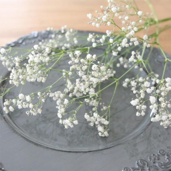 新鮮な生花の状態で仕入れた国産のかすみ草を当店にて自然乾燥でドライ化しています。掲載写真は、半ドライの写真です。ドライ化すると、多少お花部分が小さくなる可能性がございます。■サイズ：・全体の長さ：約25cm前後・容量：長さ約25cmのかすみ...