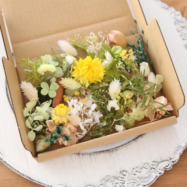 森林、自然をイメージした花材キットです。ライトグリーン、イエロー、ターコイズグリーンの相性がGOODな花材キットです！ハーバリウム、キャンドル、各種アレンジメント等の材料にお役立てください。■サイズ：・パッケージサイズ（外寸）：約16×12...
