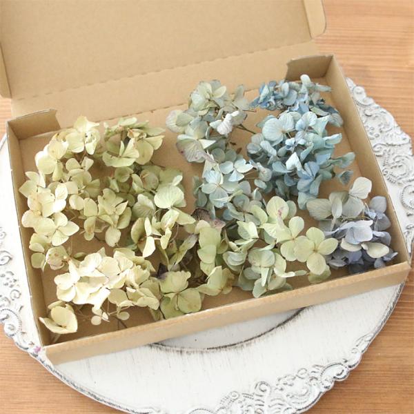 ナチュラルグリーン、ブルーグリーン、ブルー系のアジサイなどがミックスされた花材セットです。アジサイは、ドライフラワーです。パッケージサイズ：約23×17×3cmの箱に上記のような花材をお入れします。色の組み合わせは、当方おまかせとなります。...