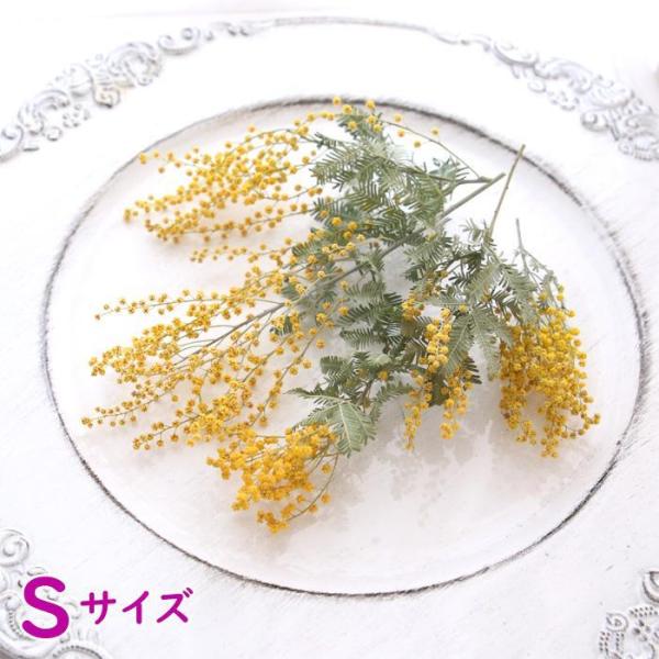 はがきサイズの箱にたっぷり詰めます！国産のミモザを生花からドライにしました！国内の農家さんが育てたミモザですので、国産で高品質なミモザです。こちらは、【はがきサイズの箱・A6】に入る分だけお入れいたします！■サイズ：・パッケージサイズ：約1...