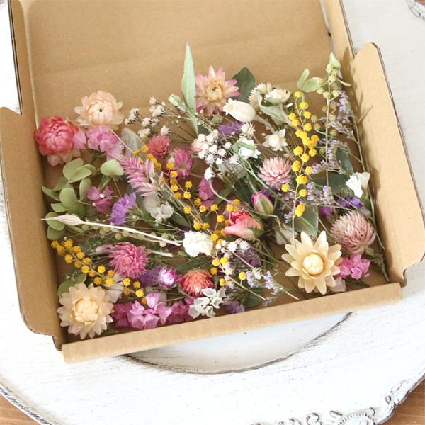 やさしい色合いのパステル系、ドライフラワー詰め合わせです。少量の花材をたくさんの種類試せるので、少しずついろんな花材が欲しい方におすすめです。様々なドライフラワーをはがきサイズの箱にたっぷり詰め込みました！紫陽花ユーカリミモザの葉スターチス...