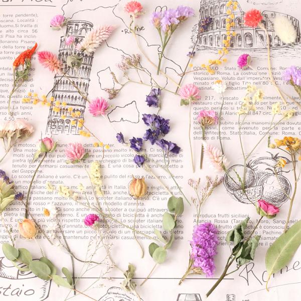 ナチュラルかわいい色合いのドライフラワーが花材セットです。本花材セットは、全て5cm前後の茎付きドライフラワーです。◆40本、60本、80本、100本セットからお好きな本数を選んで、カートに入れてご注文ください。◆【花材のみの販売】となりま...