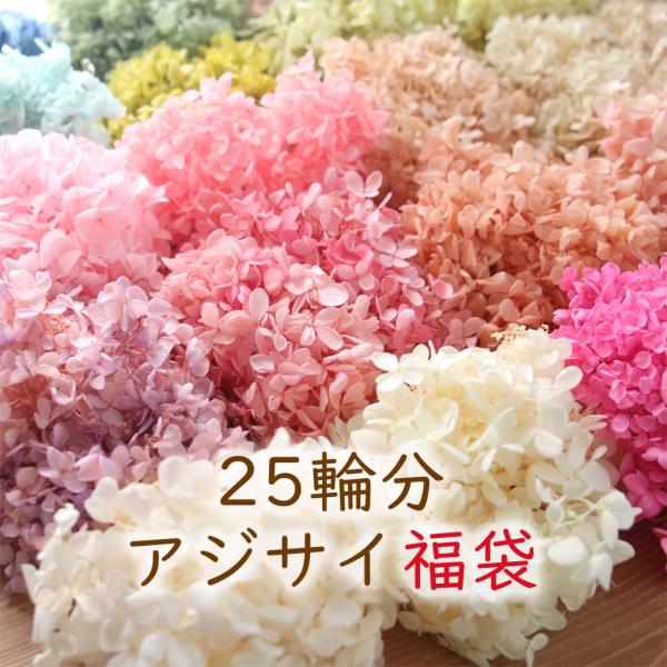 プリザーブドフラワーの定番花材として人気の高い、アジサイ（紫陽花）を25輪分たっぷり詰め込んだ大容量福袋です。淡いパステルカラーやくすみカラーなど、ハンドメイド作品に使いやすい色合いを中心にミックスしてお届けします。リースやスワッグ、フラワ...