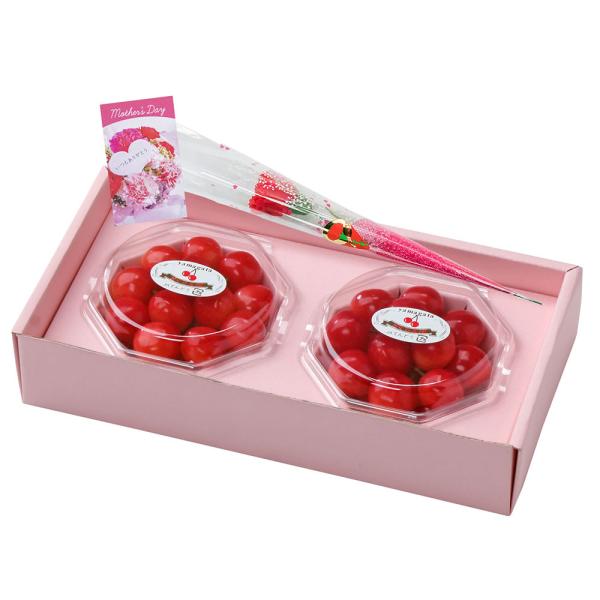 【発売日：2026年05月08日】山形県産 ハウスさくらんぼ 佐藤錦 ダイヤパック 100g×2 母の日セット、送料無料（北海道1100円。沖縄、離島配送不可）です。お届け期間は、2026年5月9日〜2026年5月10日のみとなります。母の...