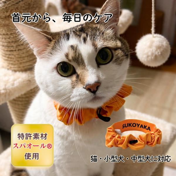 愛犬・愛猫の毎日の健康をサポートするペット用リカバリーウェア「+wanシュシュ」。首に装着するだけで、体幹の安定やリラックスを意識したコンディションケアをサポートするペット用アイテムです。シニア期のペットのふらつき対策や転倒予防を意識した健...