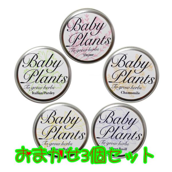 小さくて手のひらサイズのかわいいプチギフトです。見た目もかわいくてお友達にちょっとしたプレゼントとして最適です！種と説明書・土が入ってます。土は圧縮乾燥されてますので水分で膨らませて種を蒔くだけです。缶の中で栽培を楽しめますので場所も取らず...