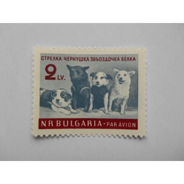 1961年6月発行のブルガリアの切手「最初の宇宙飛行士〜犬〜 」です。2lv.：ソ連の人工衛星スプートニクで最初に宇宙へ飛び立った犬1961年6月発行　3.1cmx4cmデザイン：P. ルシノフ＜発送・送料について＞こちらの商品は、普通郵便...