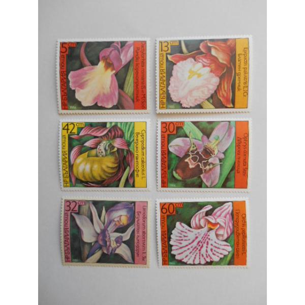 1986年発行のブルガリアの切手「ラン」です。5ct.:Dactylorhiza romana13ct.:Epipactis palustris30ct.:Ophrys cornuta32ct:Limodorum abortivum42ct...