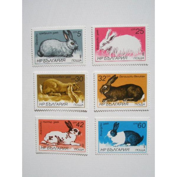 1986年2月発行のブルガリアの切手「ウサギ」です。5st.：French silver rabbit25st.：Angora rabbit30st.：English hounds rabbit32st.：Belgian giant rab...