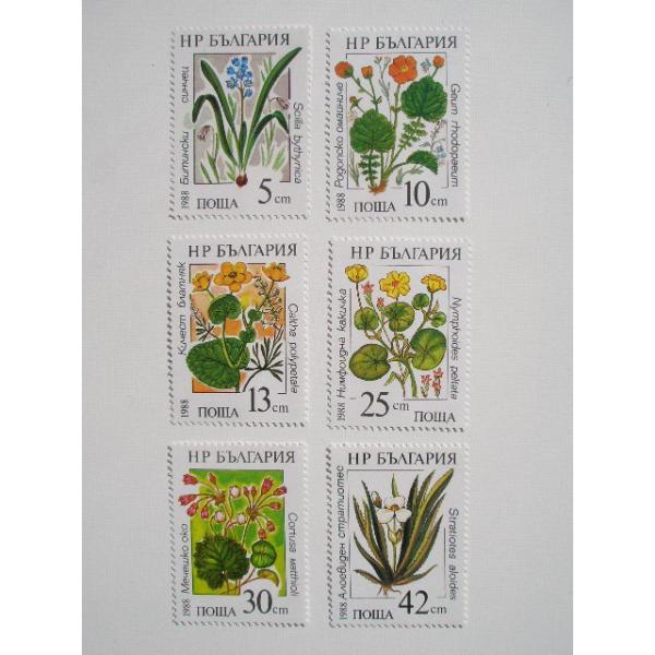1988年発行のブルガリアの切手「水辺の植物」です。5ct.:Scilla bythynica10ct.:Geum rhodopaeum13ct.:Caltha polypetaia25ct:アサザ Nimphoides peltata30...