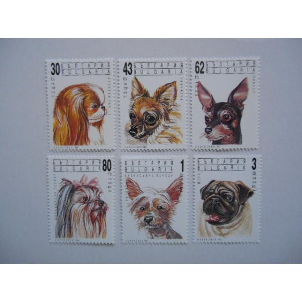 1991年発行のブルガリアの切手「愛玩犬」です。30st.：ちん43st.：チワワ62st.：ピンシャー80st.：ヨークシャー・テリア1lv.：チャイニーズ・クレステッド・ドッグ3lv.：パグ1991年10月11日発行4cm × 2.9c...