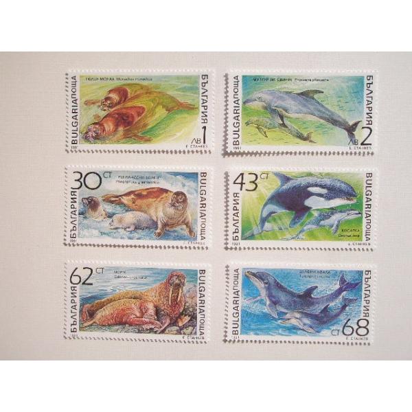 1991年発行のブルガリアの切手「海の哺乳類」です。30st.：グリーンランドアザラシ43st.：シャチ62st.：セイウチ68st.：ハンドウイルカ1lv.：モンクアザラシ2lv.：ネズミイルカ1991年12月24日発行2.9cm × 5...