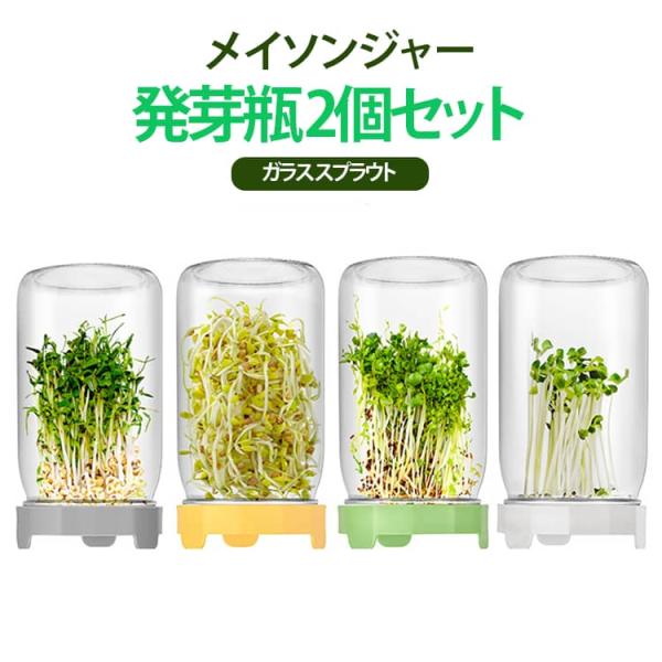 商品名:蓋つき 豆苗 2個セット ガーデニング 家庭菜園 水耕 栽培 メイソンジャー スプラウト 種 発芽瓶 キッチン ガラス 健康 野菜 ベランダ 2個セット 簡単 自宅 瓶                            商品説明...
