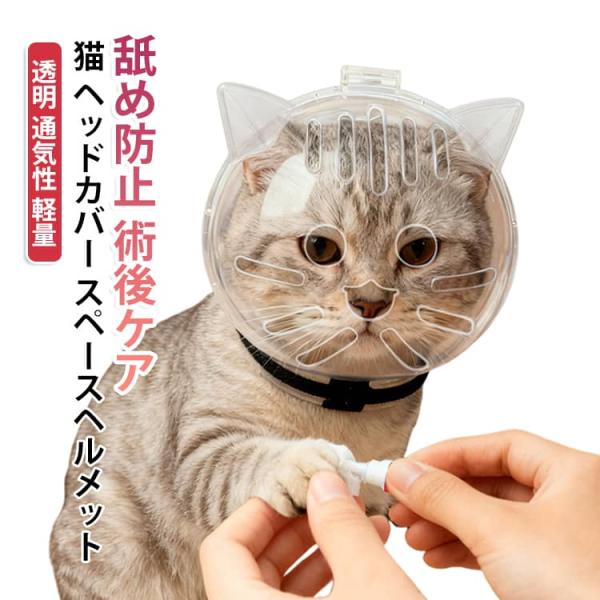商品名:通気性 猫 スペースヘルメット シャワー 舐め防止 保護ヘルメット 透明 ペット 猫 傷口保護 術後ケア 爪切り 小型犬 ドーム型 お風呂 ブルー ピンク 去勢 避妊 軽量                            商品...