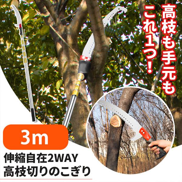 高枝ノコギリ 伸縮式 高枝切りノコ 切断のこぎり 高枝切りバサミ 高枝鋸 3m 伸縮ポール 枝切り 剪定 園芸用品 庭木 果樹 剪定のこぎり 高所作業 枝打ち 伐採 軽量 庭 手動剪定 ガーデニング用品