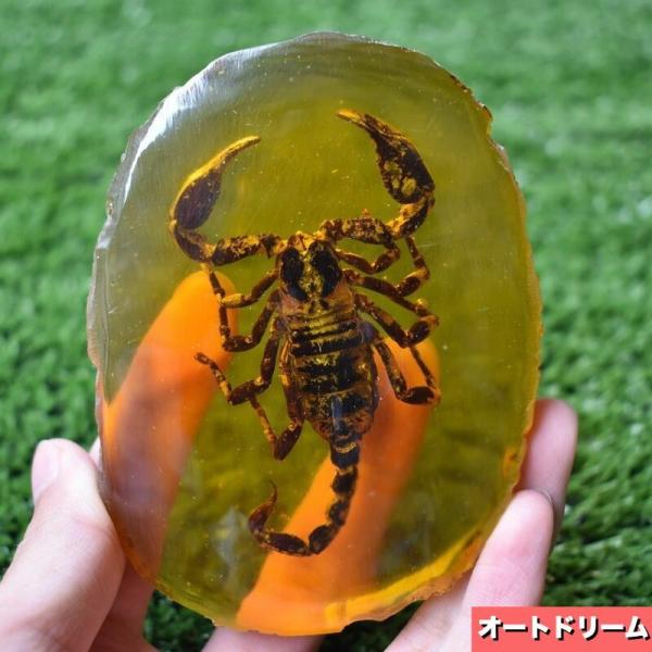 オートドリームをご覧いただきありがとうございます。