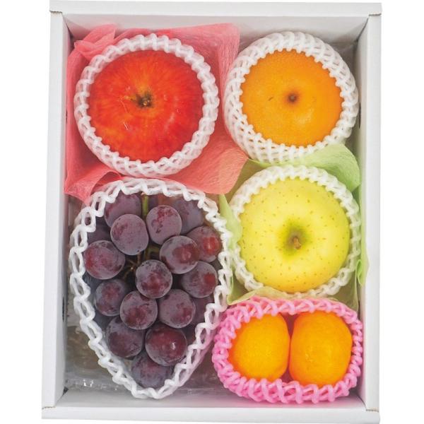 【商品名】 旬を味わうフルーツ6000 【内容】●季節のフルーツ3〜7点 国産 　※季節によってお届けするフルーツ・総重量・点数・宅配温度帯が異なります。 メインのフルーツ・・・1〜4月：いちご、5〜6月：メロン、7〜10月：ぶどう、11月...