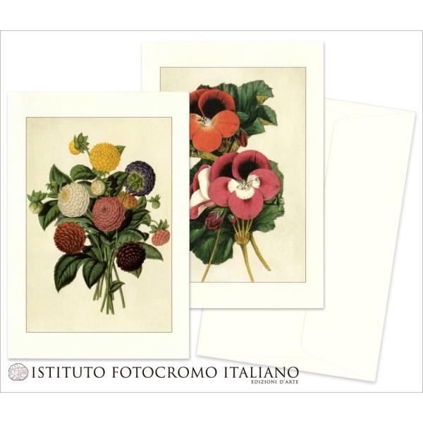サイズ：カード：11.5×17cm封筒：12×18cmセット内容：2つ折りメッセージカード1枚・封筒1枚MADE IN ITALY19世紀から現代にかけてのボタニカルアート(植物画)をグリーティングカードに。【ご注意】 一部商品に、アメリカ...