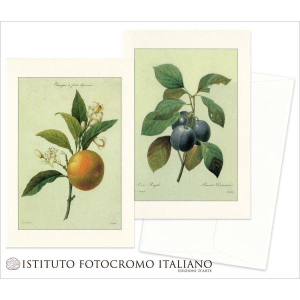 サイズ：カード：11.5×17cm封筒：12×18cmセット内容：2つ折りメッセージカード1枚・封筒1枚MADE IN ITALYクラシカルなフルーツのボタニカルアートをデザインを使用したグリーティングカード。【ご注意】 一部商品に、アメリ...