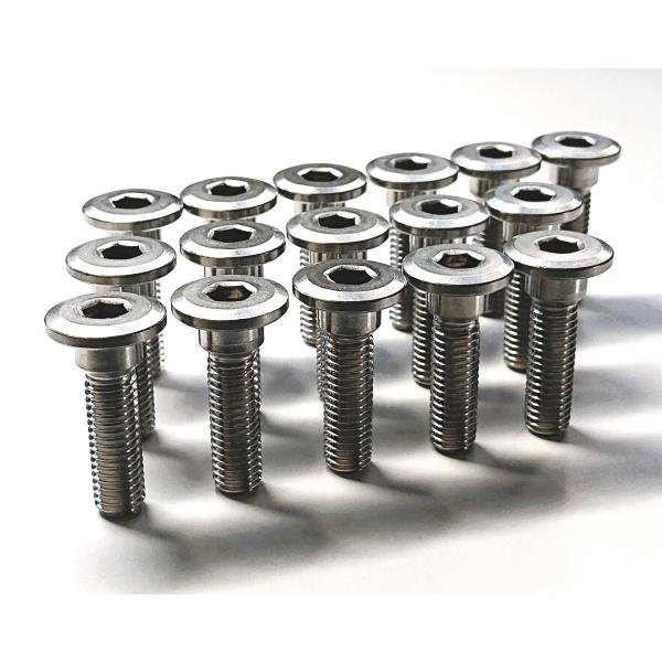 適合車種★カワサキ★GPX250R-2　/88GPX750R　/87〜88GPZ900R　/91〜03ゼファー1100　/92〜99/02〜06ゼファー1100RS　/96〜02フロント/リヤ ディスクローター ステンレスボルト 16本セッ...