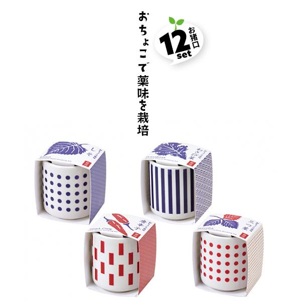 おちょこで薬味栽培セット白磁のおちょこで小さな薬味を育てる栽培セット。白磁のおちょこで小さな薬味を育てる栽培セット。窓辺やキッチンに並べるとかわいいおちょこの器。日本の香りと緑を手軽に「ちょこ」っと楽しみましょう。観葉する楽しみ + 育てる...