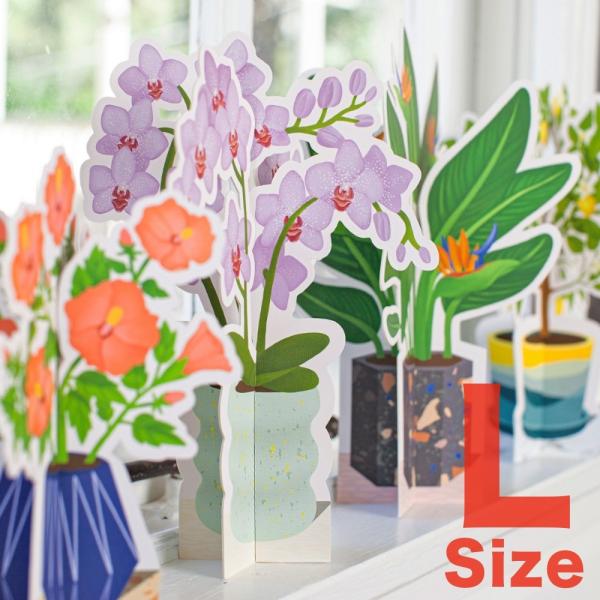 ニューヨークを拠点とするデザイン会社セルツァーが手掛けた水やり不要の観葉植物(？)ペーパープラント。優れたデザインと7年書ける実用性で大ヒットとなったセブンイヤーボールペンを生み出したセルツァーが作ったユニークなインテリアです。スタイルは、...