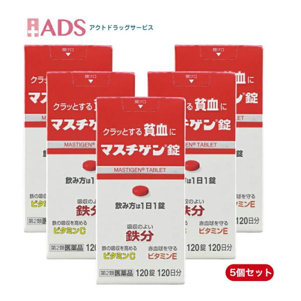 【第2類医薬品】マスチゲン120錠 ≪5セット≫ [日本臓器製薬 鉄分 ビタミンC ビタミンE]