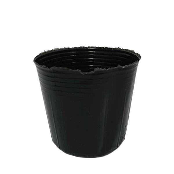 ポリ鉢 黒丸100P 10.5cm長年親しまれてきた定番のシリーズです。花苗、野菜苗、実生の種まき用に【原産国】フィリピン【仕様】サイズ：直径10.5cmカラー：黒【材質】ポリエチレン
