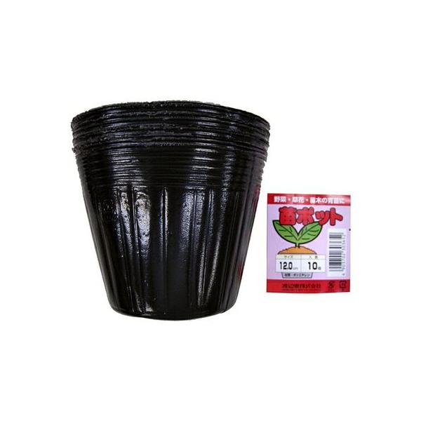 苗ポット 12.0cm 10個入種まき用ポリポット10個セット花苗、野菜苗、アガベやコーデックスの実生にも【仕様】寸法：12cm入数：10個カラー：黒【材質】ポリエチレン