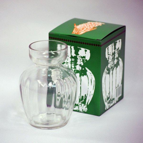 普及型 ヒヤシンス用ガラス水裁ポット クリアーチューリップやヒヤシンスなどの球根の水耕栽培や流行のアガベやコーデックスの発根管理に【サイズ】口径70ｘ高さ150mm【特長】ヒヤシンス水栽培用のガラス製ポットです。【仕様】ヒヤシンスの球根を置...