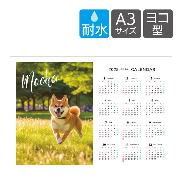 ★2026年 年間カレンダー★壁掛けA3サイズ（297x420mm）★紙をフィルムでサンドした耐水紙を使用。薄くて軽いのに丈夫です。※祝日法等の改正により、祝日・休日が一部変更になることがあります【ご注文から発送までの流れ】商品をご注文手続...