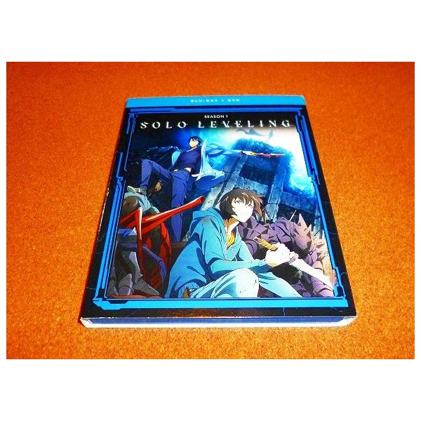 BD+DVDコンボパックからDVDのみ取り出した商品です。DVDで第1期-全12話をご視聴いただけます。紙製スリーブと収納ケースは付属しますが、表紙は付属しませんので、ご了承ください。日本語音声にした場合、英語字幕は基本的にOffできないよ...