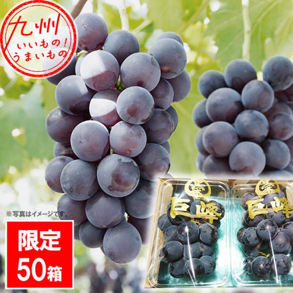 メーカー名 黒木のフルーツ屋　井手さん内容量 1箱（1パック約300ｇ×２）原産国・製造国 福岡県ご注文承り期間 〜2026年8月5日までお届け時期 2026年7月上旬以降順次発送その他 ※お届けは7月上旬以降となります。※日付指定は承れま...