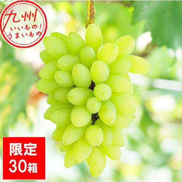 メーカー名 さくらフルーツ農園内容量 約2房(800g）原産国・製造国 日本ご注文承り期間 2026年8月1日〜8月10日までお届け時期 2026年8月上旬以降原材料 ぶどうその他 お届けは8月上旬以降となります。※日付指定は承れませんので...