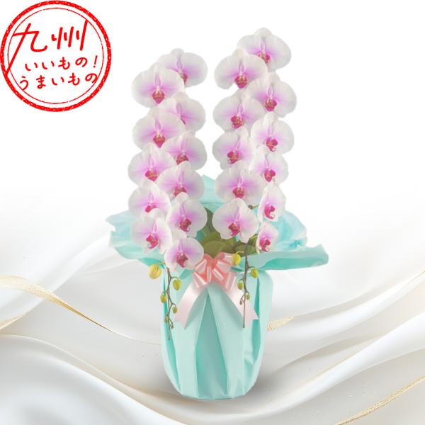 メーカー名 (株)三和グリーン内容量 1鉢原産国・製造国 鹿児島県その他 配送日時のご指定は承れません。※発送は5月8日以降となります。※生育状況や天候により出荷時期が遅れる場合がございます。