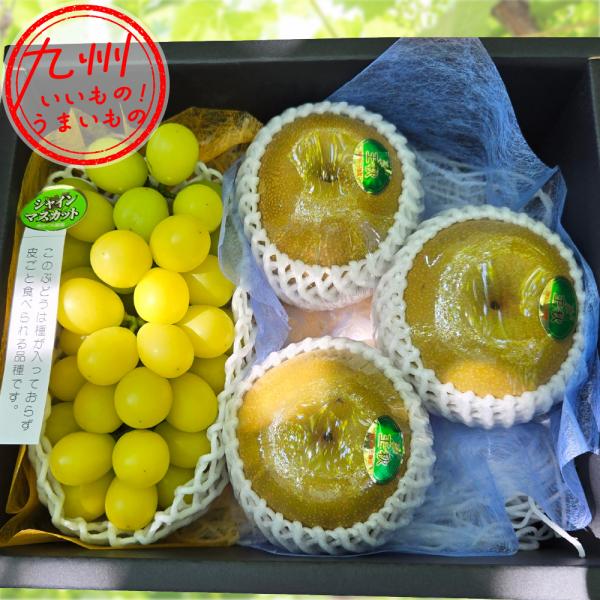 メーカー名 さくらフルーツ農園内容量 約1.8kg（1房・3玉）原産国・製造国 日本ご注文承り期間 2026年10月1日〜10月31日までお届け時期 2026年10月上旬以降原材料 ぶどう・梨その他 お届けは10月上旬以降となります。&lt...