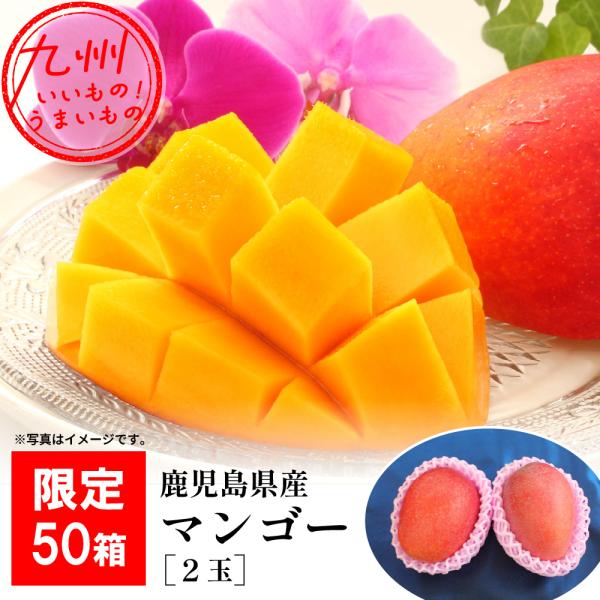 メーカー名 鹿児島くみあい食品(株)内容量 800g（2玉入り）原産国・製造国 日本原材料 熱帯性果樹お届け開始時期 5月中旬以降となります。その他 ※日付指定は承れませんのでご注意ください。※青果物となっており産地の収穫状況や天候により出...