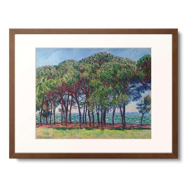 フランスの画家ジャンル　： 印象派 Artist:  Monet, Claude,1840-1926 Imagetitle:  Pines, Cap d'Antibes. 1888 Dimensions:  73,7 x 92,3 cm M...