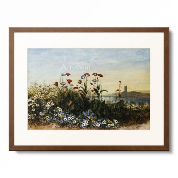 Artist: Nicholl, Andrew,1804-1886 Imagetitle: Ferry Carrig Castle, Co. Wexford, Seen Through a Bank of Wild Flowers. Dim...