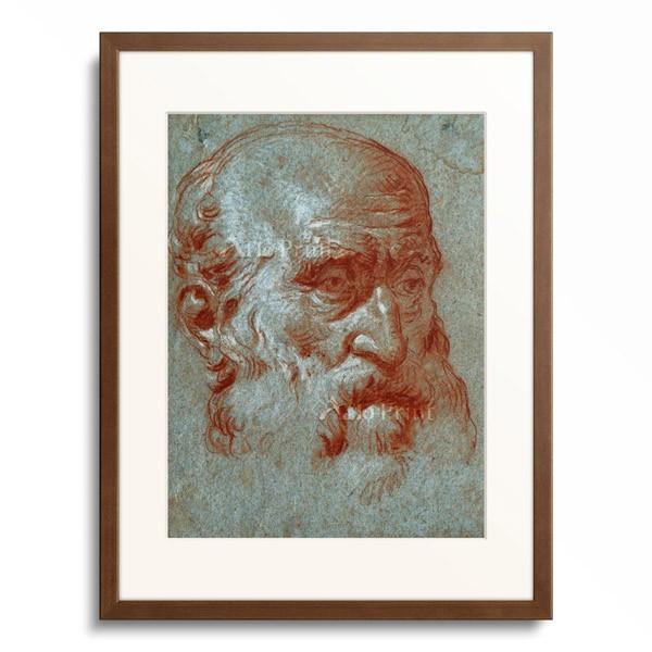 Artist: Tiepolo, Giovanni Battista,1696-1770 Imagetitle: Head of a Venetian Patrician, three-quarter Face. Dimensions: 2...