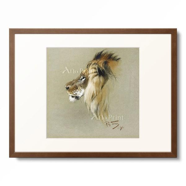 Artist: Friese, Richard Bernhardt Louis,1854-1918 Imagetitle: A Lion's Head. 1910 Dimensions: 36,9 x 39,4 cm Medium: Pen...
