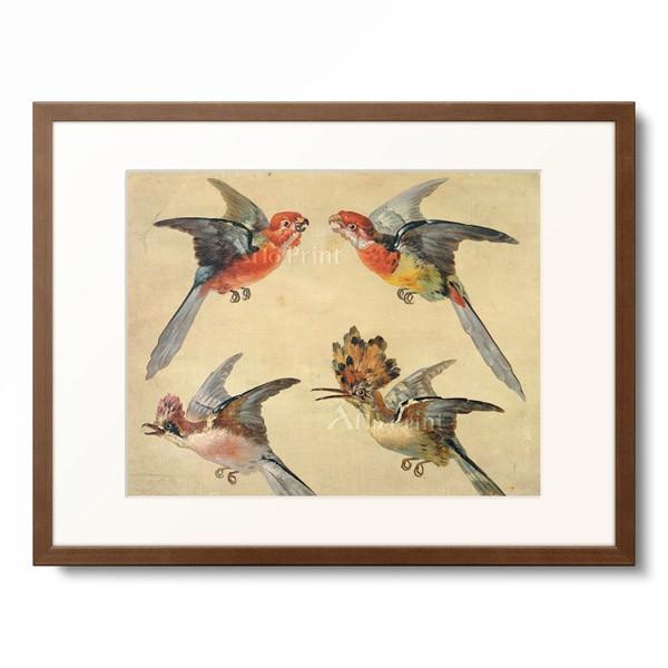 Artist: Desportes, Alexandre Francois,1661-1743 Imagetitle: Study of Birds: Two Parrots, a Hoopoe and a Jay (Etudes d'Oi...