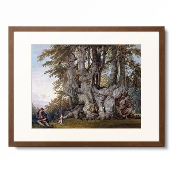 Artist: Sandby, Paul,1725-1809 Imagetitle: A Boy making a Dog dance by the Bole of an Ancient Gnarled Beech Tree. Dimens...