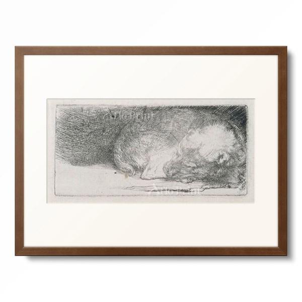 作家名： レンブラント・ファン・レイン ( 1606年 - 1669年 ) 国籍： オランダ ジャンル ： バロックArtist: Rembrandt van Rijn,1606-1669 Imagetitle: Sleeping Dog....